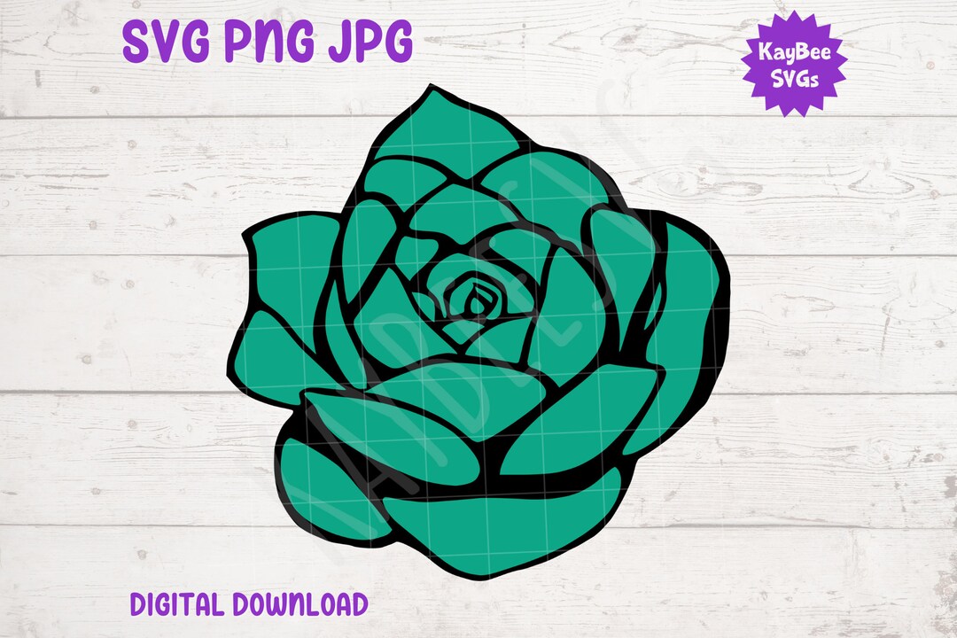 Succulent Plant SVG PNG JPG Clipart Digital Cut File Download - Etsy