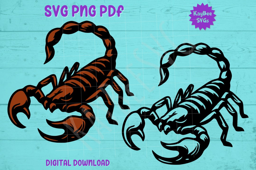 Scorpion SVG PNG PDF Clipart Digital Cut File Download for Cricut ...