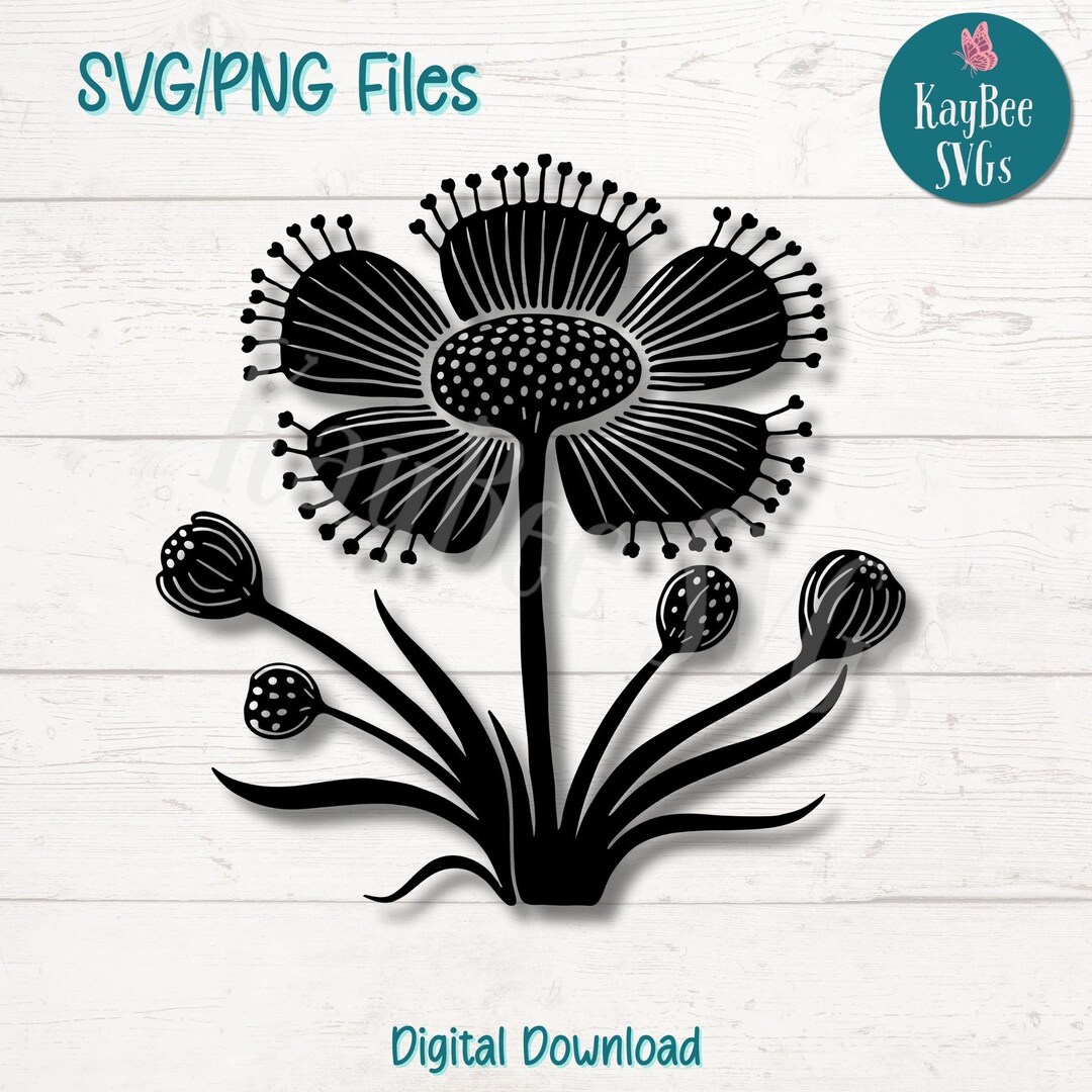 Sundew Flower SVG PNG Cut Files for Cricut, Silhouette Digital Download ...