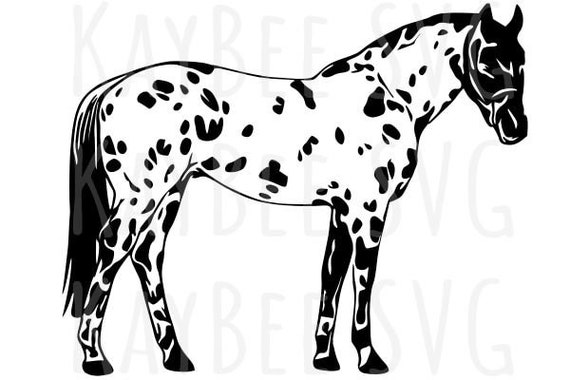 Appaloosa Spotted Horse SVG PNG JPG Clipart Digital Cut File - Etsy Finland