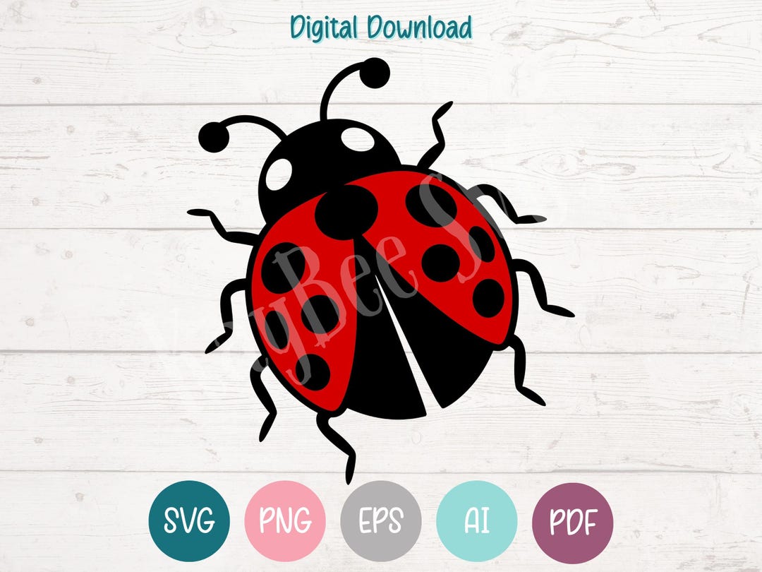 Ladybug SVG PNG Clipart Cut Files for Cricut, Silhouette, Laser ...