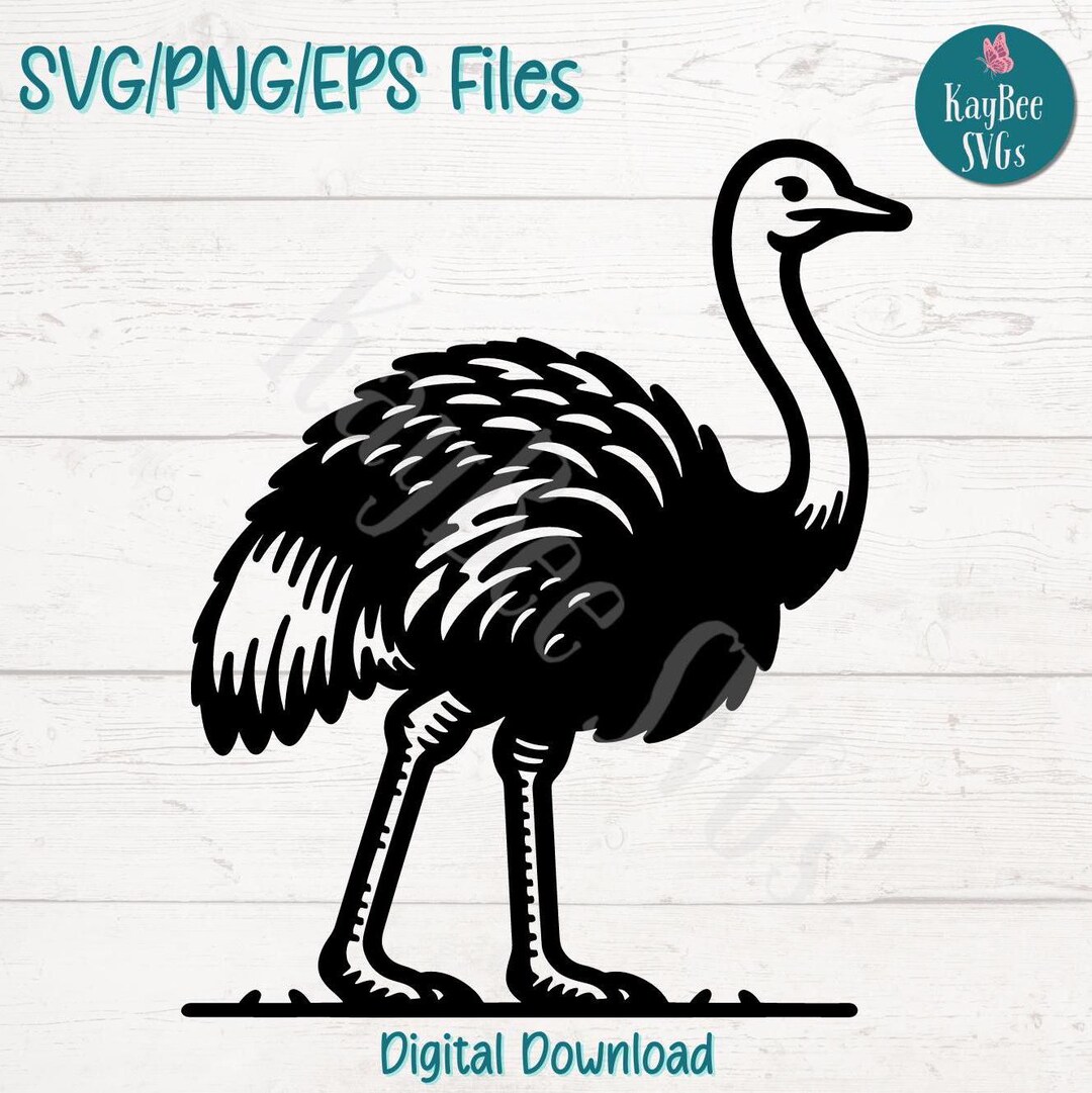 Ostrich SVG PNG Cut Files for Cricut, Silhouette Digital Download ...