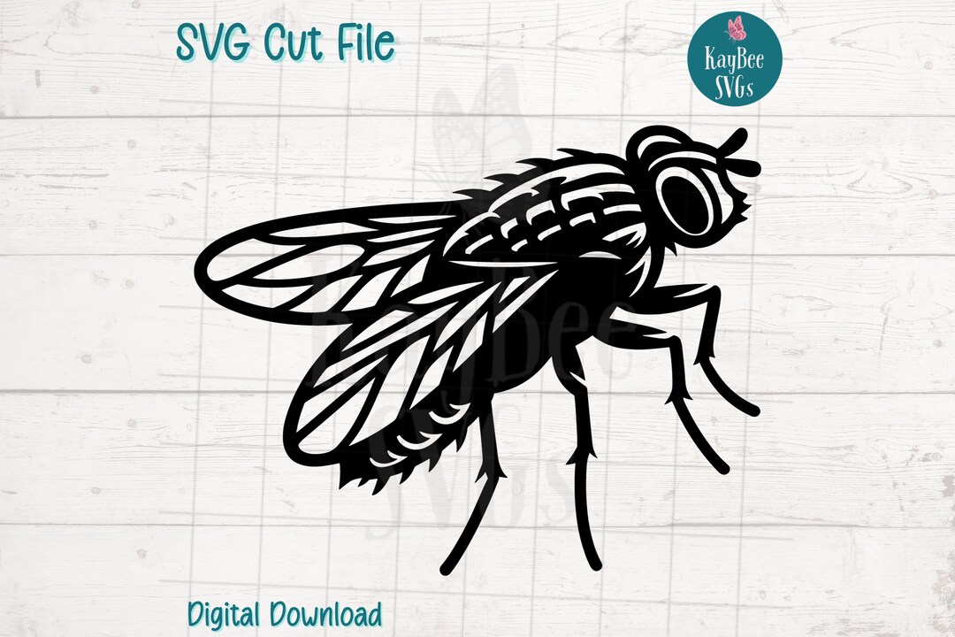 Fly Insect SVG PNG Bug Clipart for Nature and Science Classroom Crafts ...