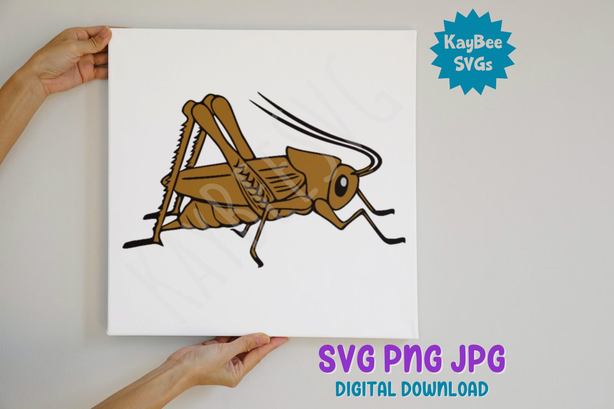 Cricket Insect Drawing