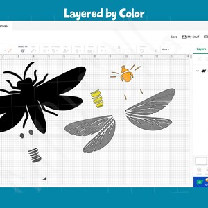 Firefly SVG PNG PDF Clipart Digital Cut File Download for Cricut ...