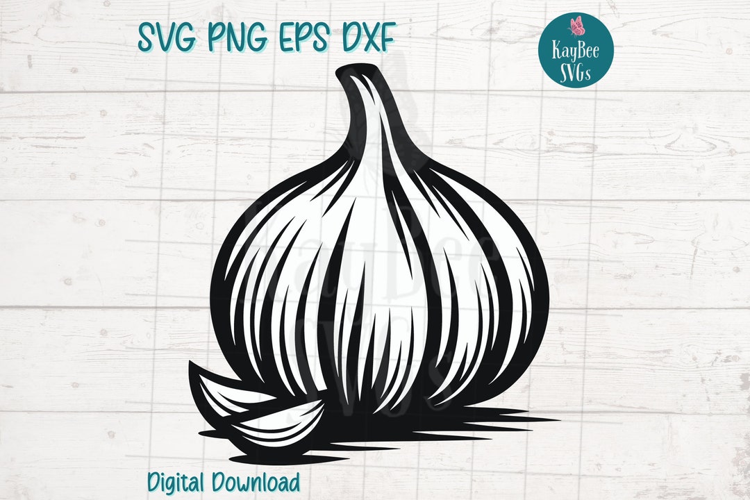 Garlic Head Cut File (svg, Png, Eps, Dxf), Commercial Use (digital ...