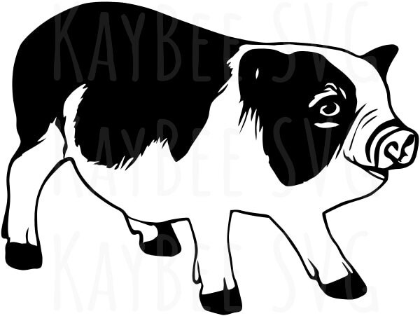 Pot Bellied Pig SVG PNG JPG Clipart Digital Cut File Download - Etsy Canada