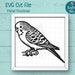 Budgie Parakeet Bird SVG Digital Cut Files for Cricut, Silhouette ...