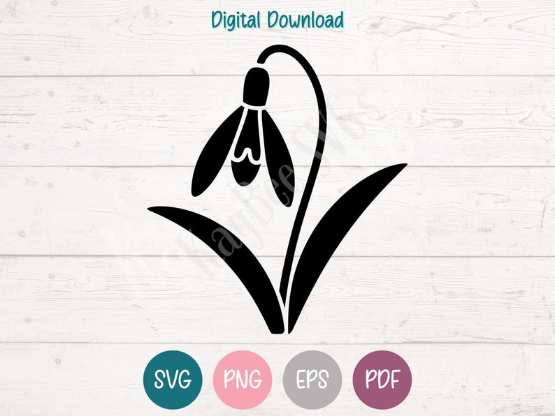 Snowdrop Flower SVG PNG Clipart Cut Files for Cricut, Silhouette ...