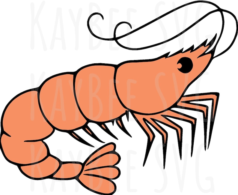 Shrimp SVG PNG JPG Clipart Digital Cut File Download for - Etsy Canada
