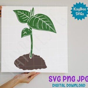 Seedling Tree Sapling SVG PNG JPG Clipart Digital Cut File Download for ...
