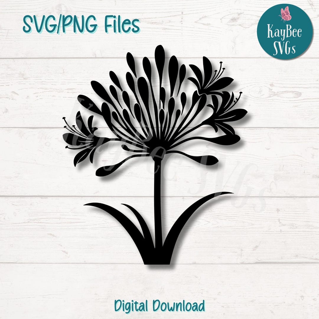 Agapanthus Flower SVG PNG Cut Files for Cricut Silhouette Digital ...