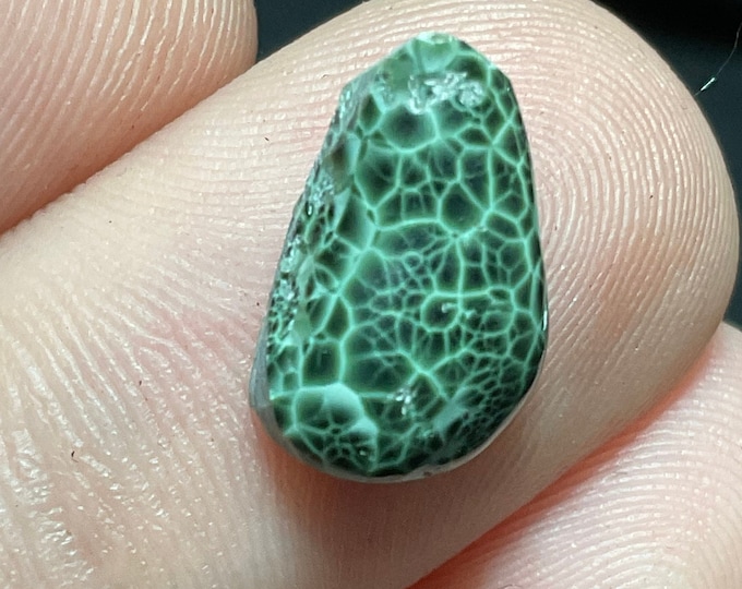 Isle Royale Greenstone Chlorastrolite Gem RARE Color Polished Amazing ...
