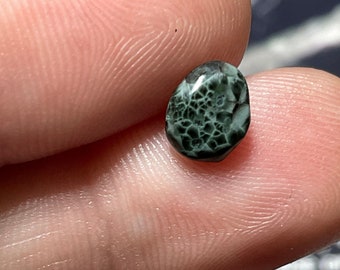 Isle Royale Greenstone Chlorastrolite Gem RARE Color Polished Amazing ...