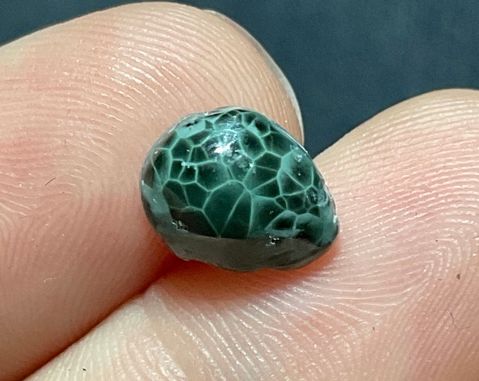 Isle Royale Greenstone Chlorastrolite Gem RARE Color Polished Amazing ...