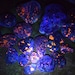 Yooper Stones, Fluorescent Sodalites, 1 Lb Lot, Emberlites, Lake ...