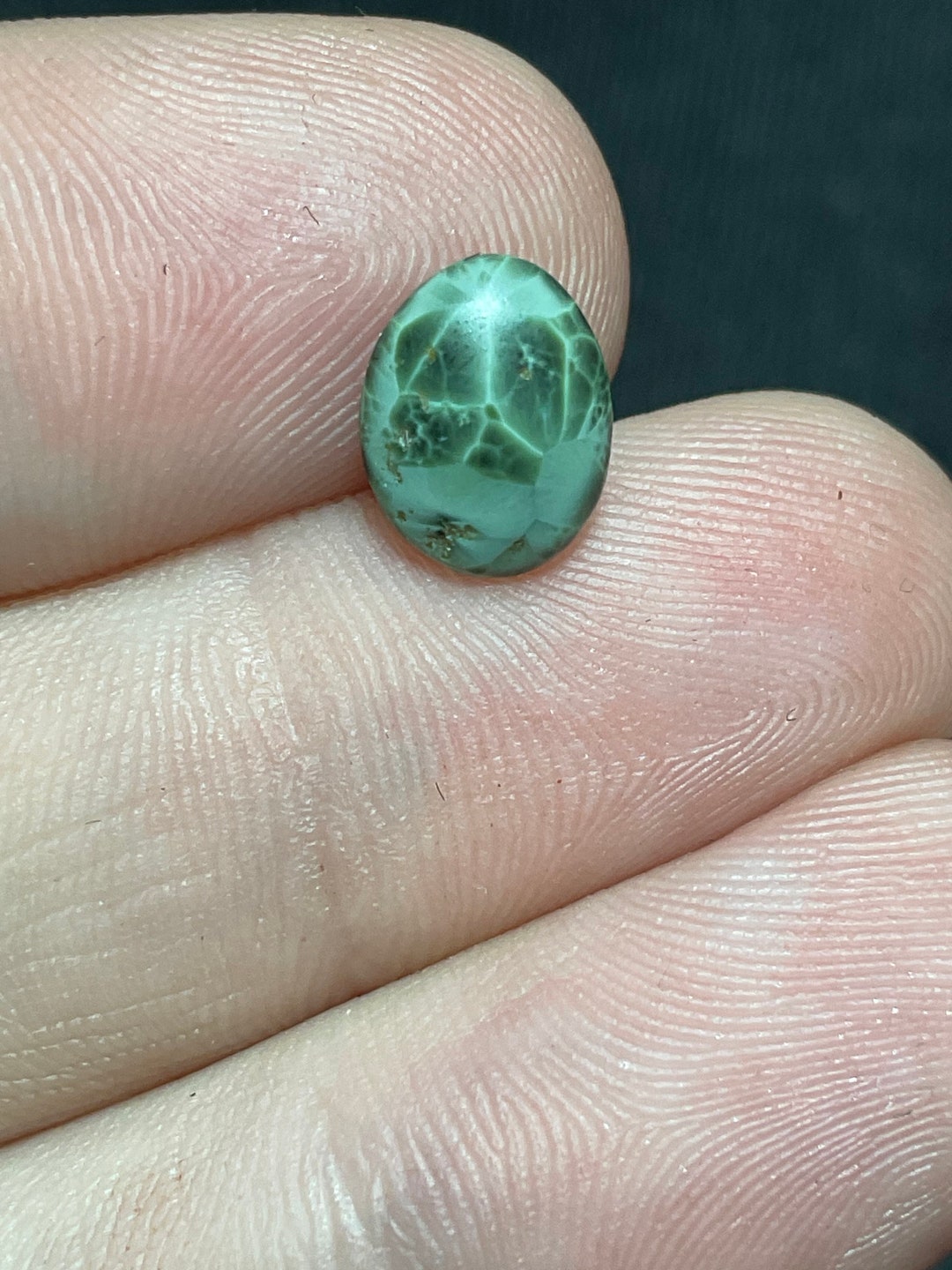 Isle Royale Greenstone Chlorastrolite Gem RARE Color Polished Amazing ...