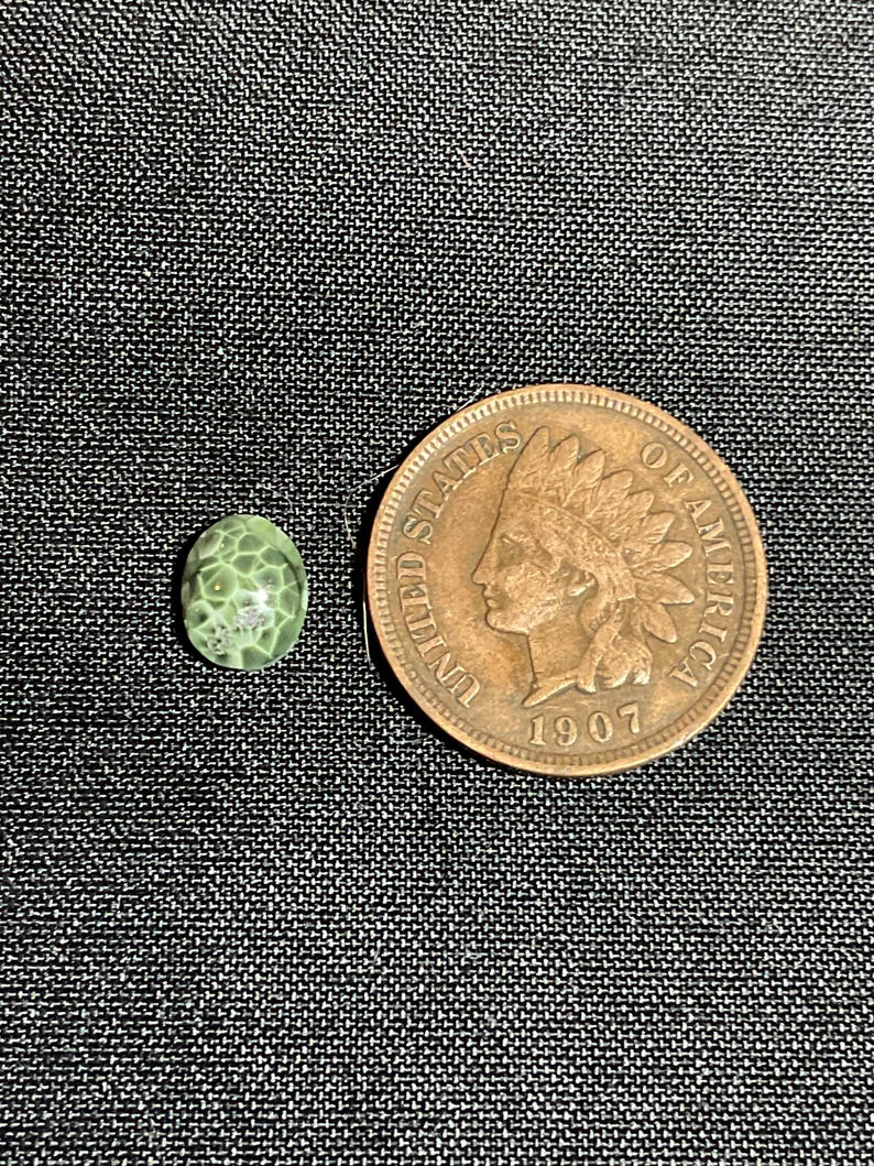Isle Royale Greenstone, Chlorastrolite, Gem, RARE Color, Polished ...