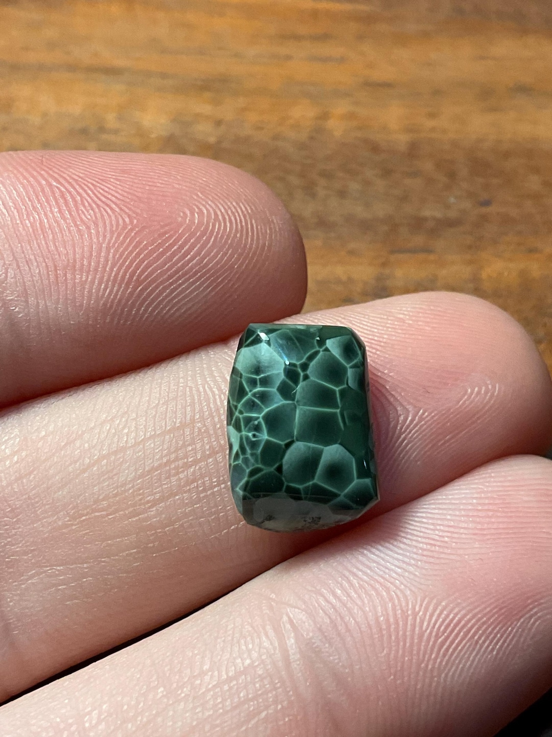 Isle Royale Greenstone, Chlorastrolite, Michigan Gem, RARE Polished ...