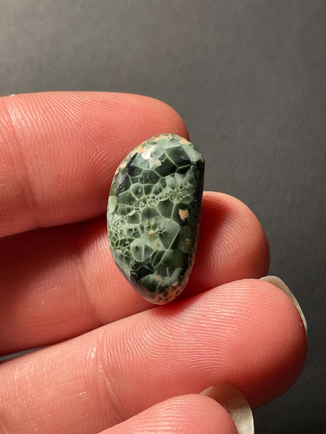 HUGE Isle Royale Greenstone Chlorastrolite, RARE Color, Polished ...