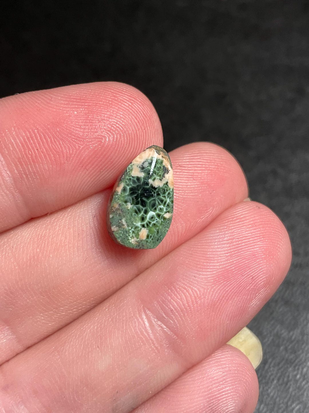 Isle Royale Greenstone Chlorastrolite Gem RARE Color Polished Amazing ...
