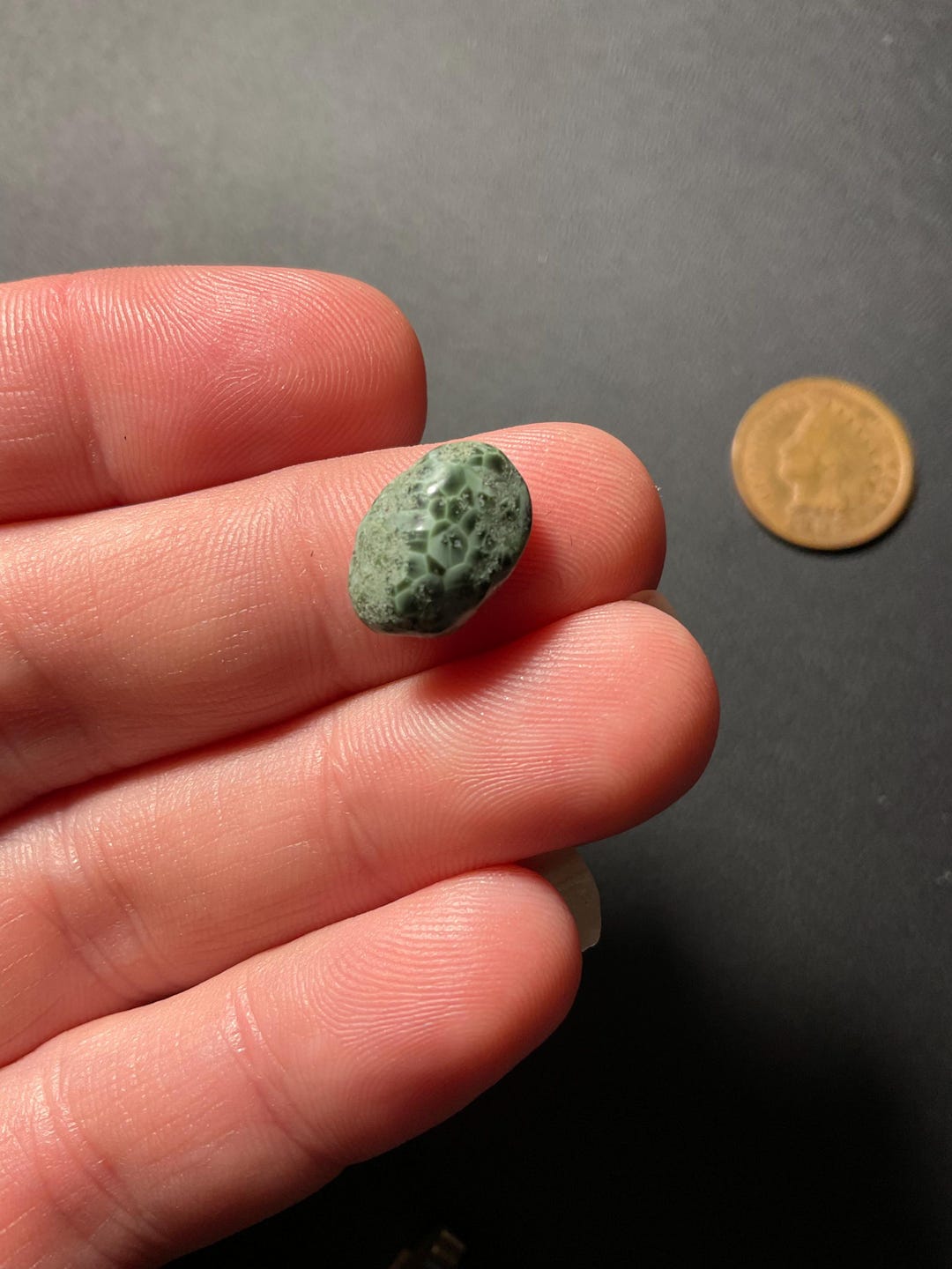 Isle Royale Greenstone Chlorastrolite Gem RARE Color Polished Amazing ...