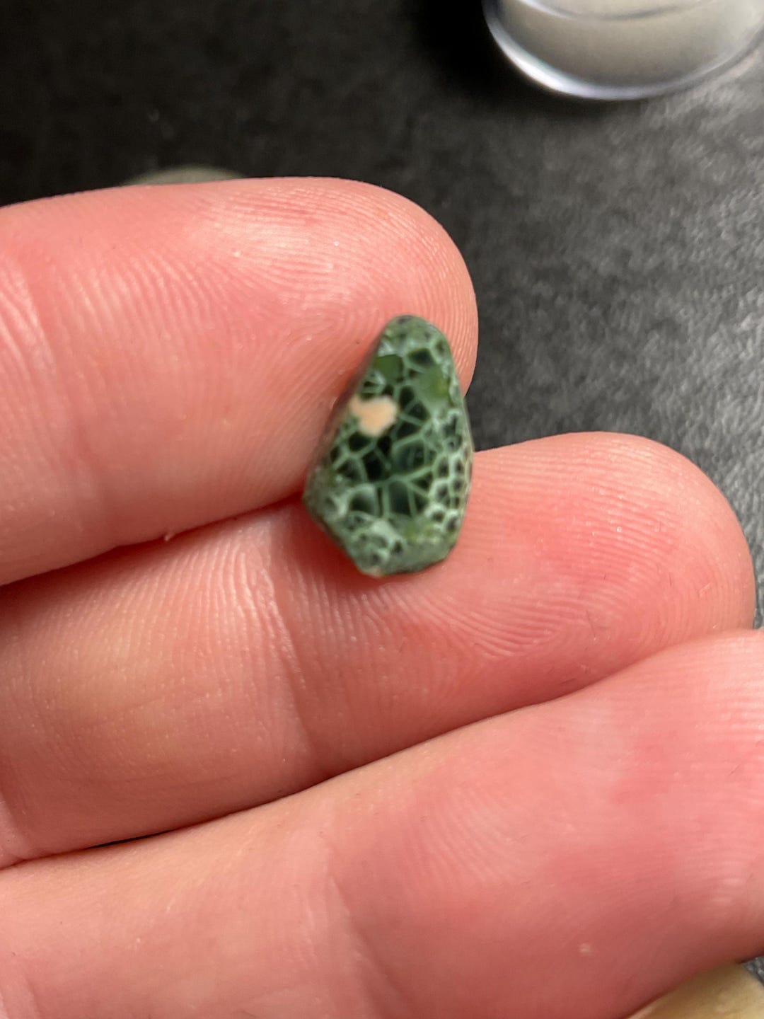 Isle Royale Greenstone Chlorastrolite Gem RARE Color Polished Amazing ...