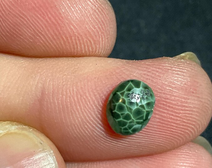 Isle Royale Greenstone, Chlorastrolite, Gem, RARE Color, Polished ...