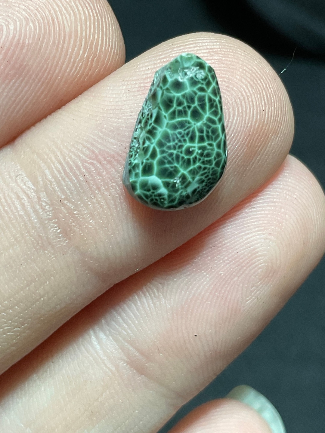 Isle Royale Greenstone Chlorastrolite Gem RARE Color Polished Amazing ...