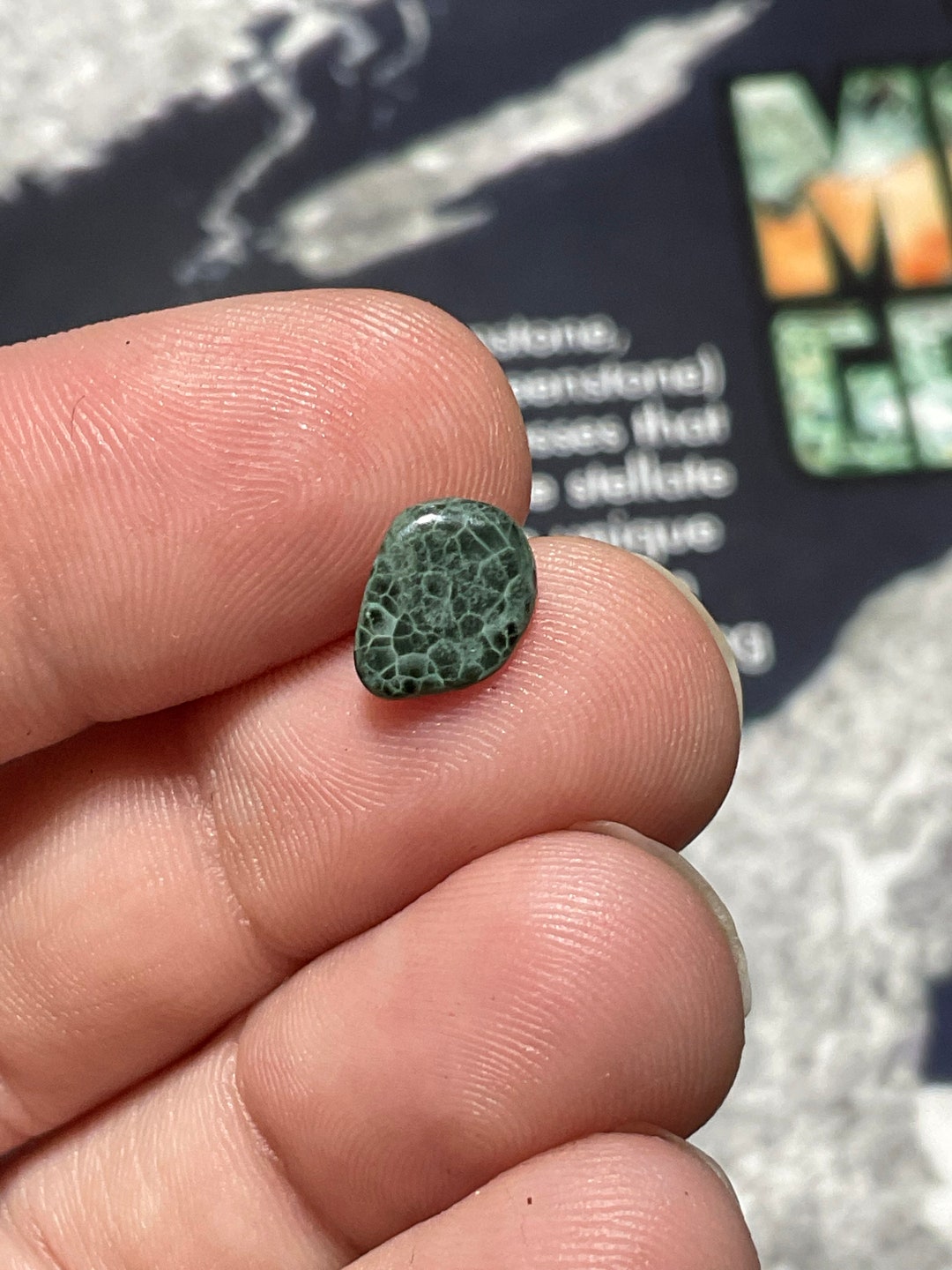 Isle Royale Greenstone, Chlorastrolite, Gem RARE Color, Polished ...