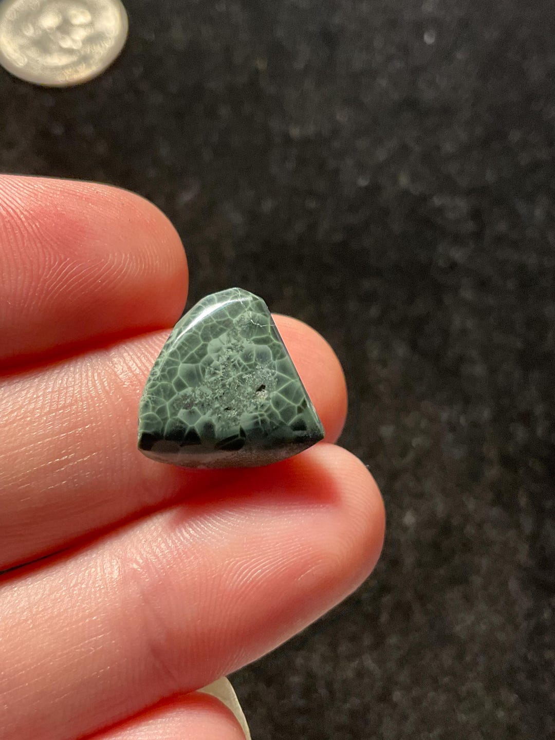 Isle Royale Greenstone, Chlorastrolite, Gem RARE Color, Polished ...