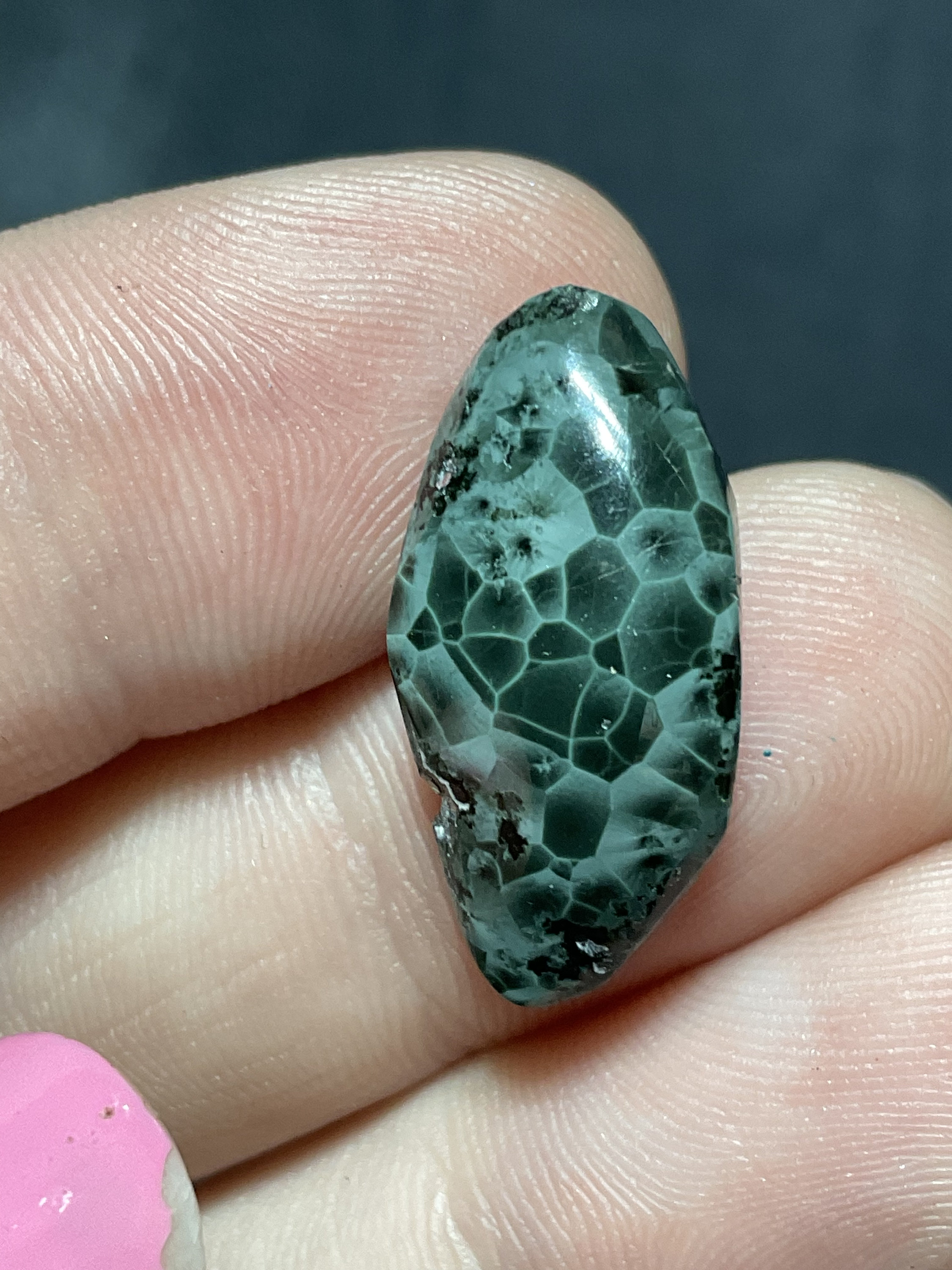 Isle Royale Greenstone Chlorastrolite Gem XXL RARE Polished Amazing ...