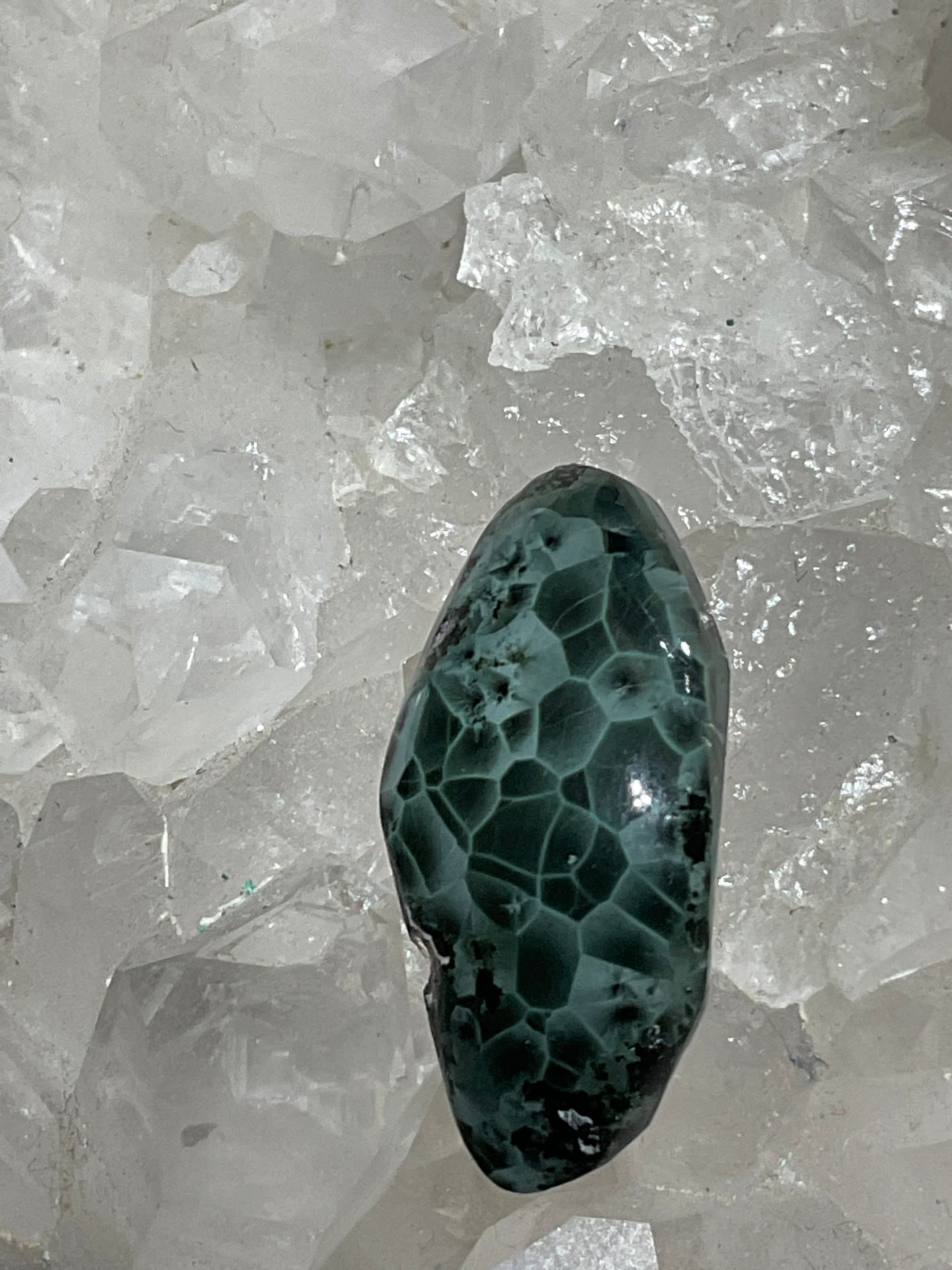 Isle Royale Greenstone Chlorastrolite Gem XXL RARE Polished Amazing ...