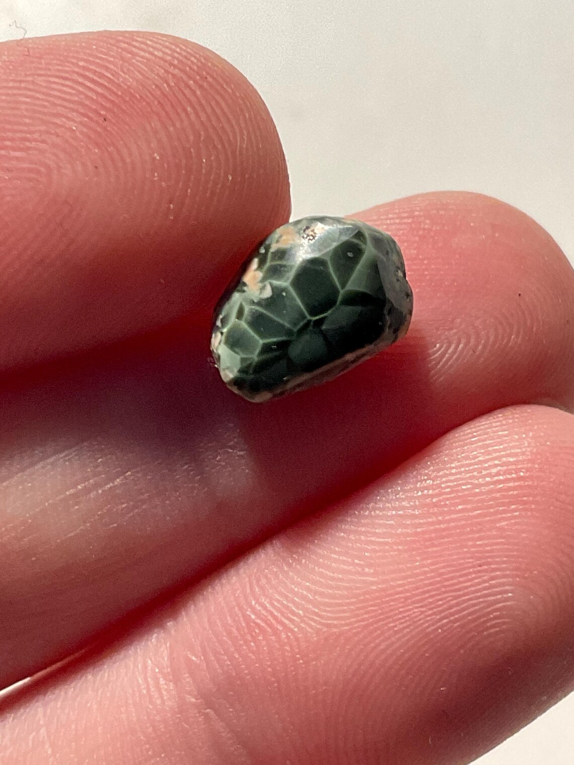 Isle Royale Greenstone, Chlorastrolite, Polished Gem, Rare Inclusions ...
