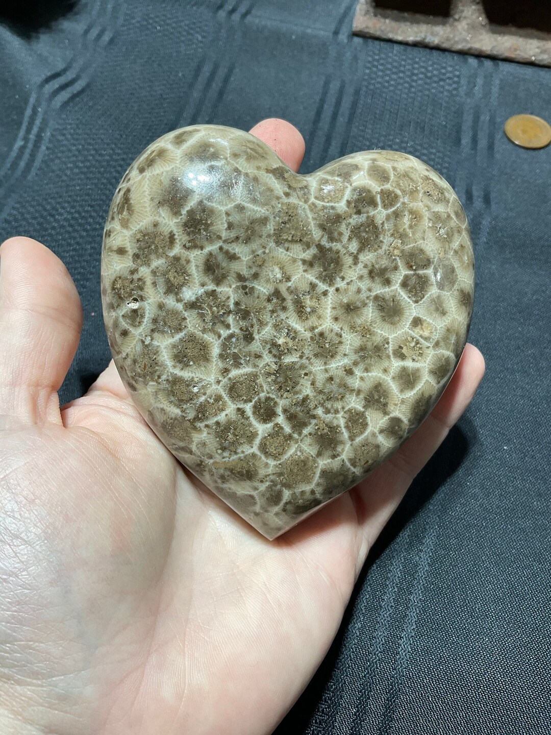 Huge Premium Petoskey Stone Hand Carved Heart, Michigan Petoskey State ...