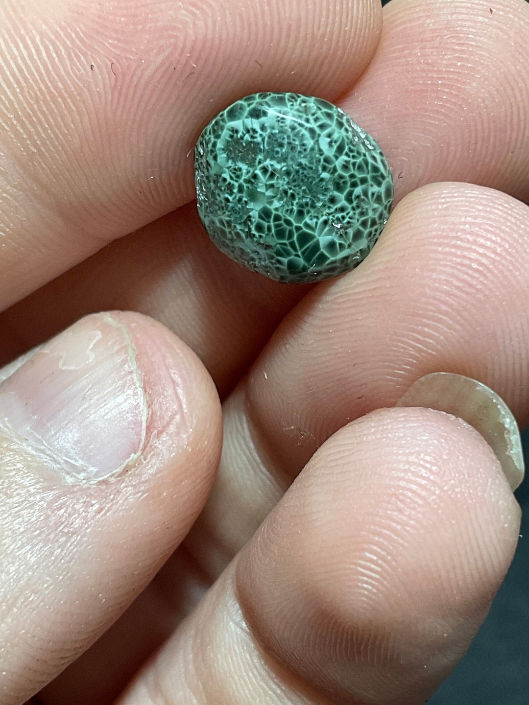 Isle Royale Greenstone Chlorastrolite Gem RARE Color Polished Amazing ...