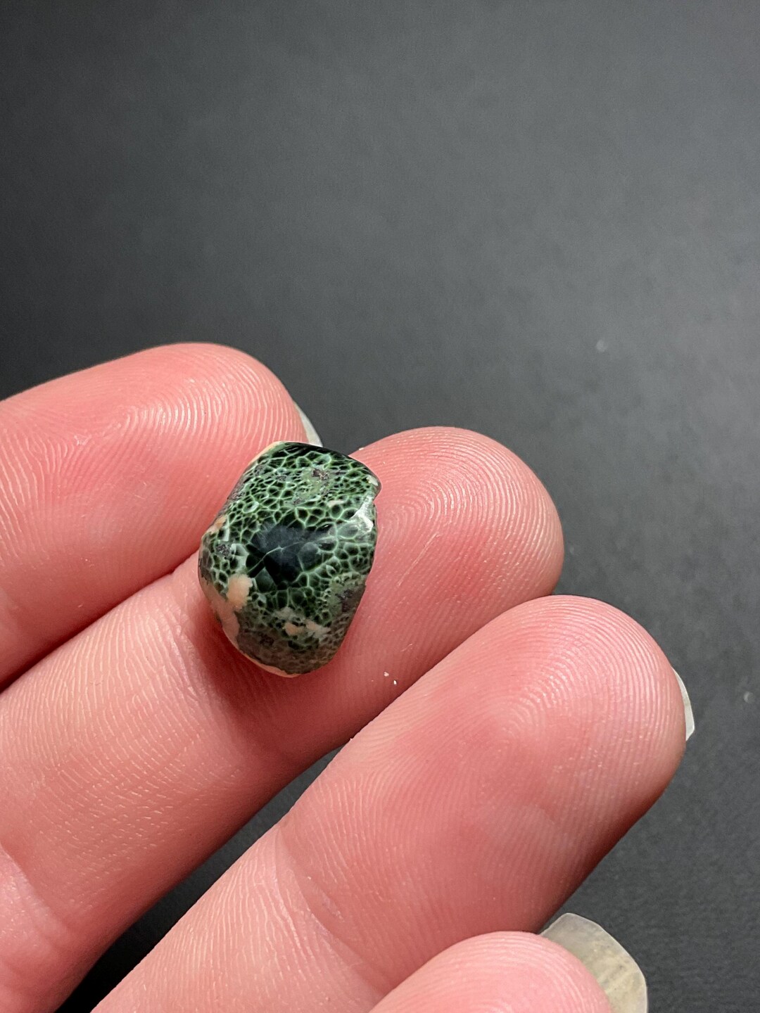 Isle Royale Greenstone Chlorastrolite Gem RARE Color Polished Amazing ...