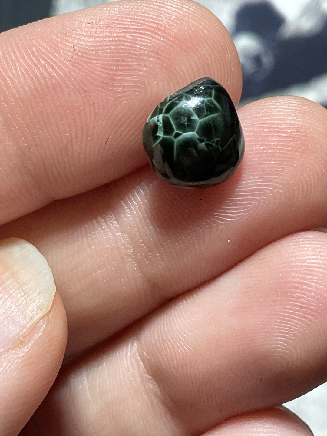 Isle Royale Greenstone Chlorastrolite Gem RARE Color Polished Amazing ...