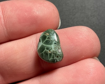 Isle Royale Greenstone Chlorastrolite Gem RARE Polished Amazing ...