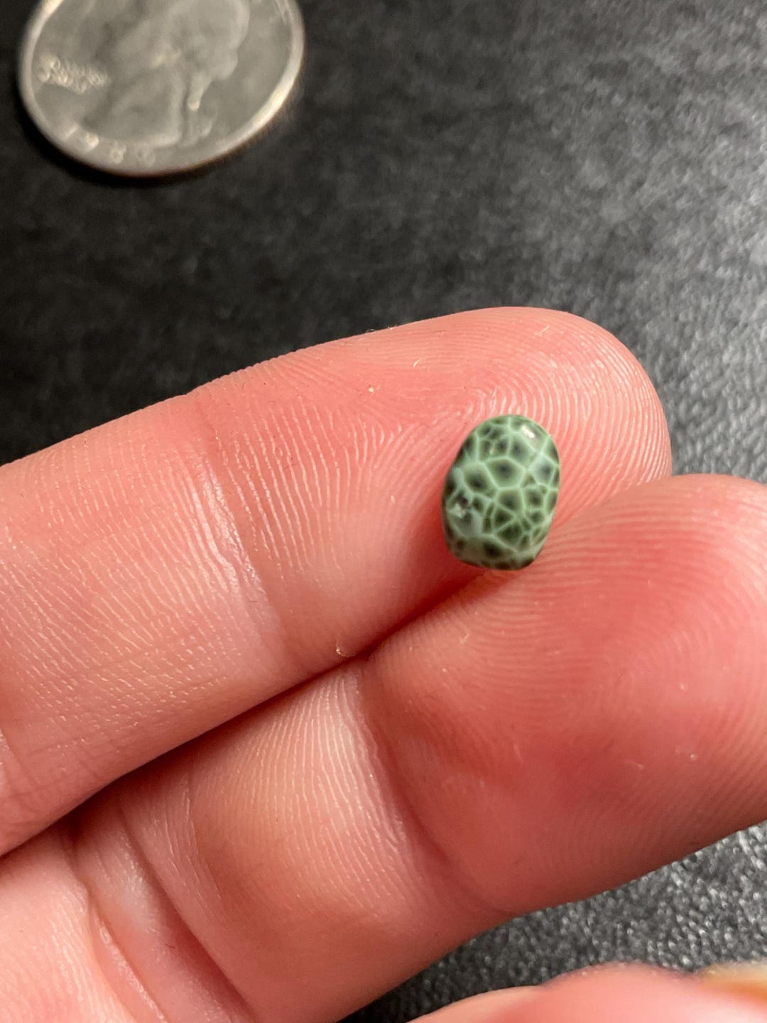 Isle Royale Greenstone Chlorastrolite Gem RARE Color Polished Amazing ...