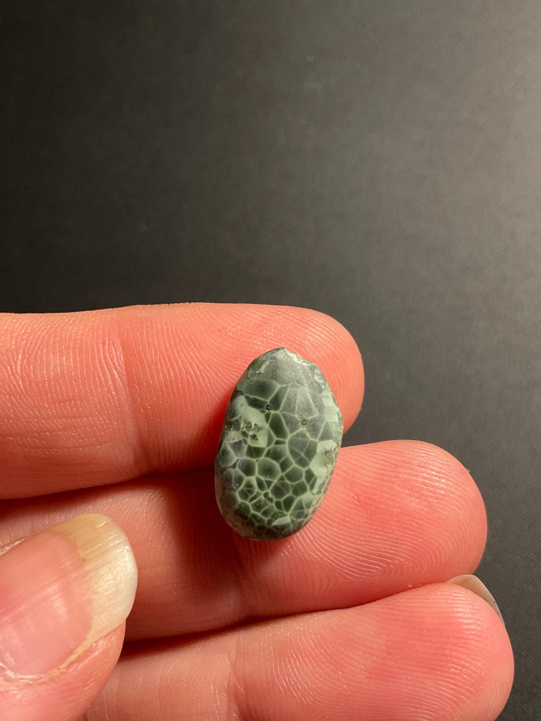 Isle Royale Greenstone Chlorastrolite Gem RARE Color Polished Amazing ...