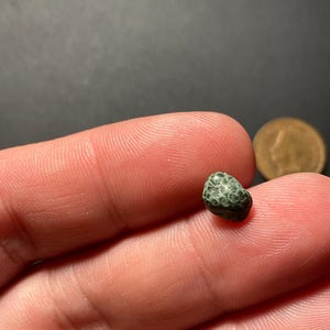 Isle Royale Greenstone Chlorastrolite Gem RARE Color Polished Amazing ...