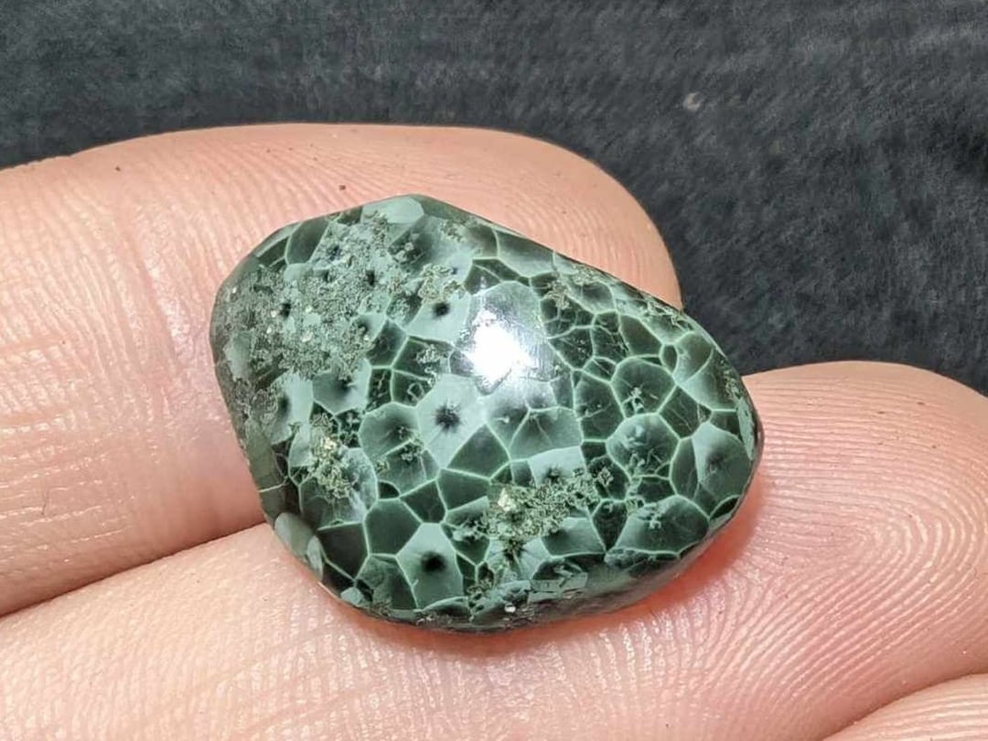 Isle Royale Greenstone Chlorastrolite Gem #1 RARE Polished Amazing ...