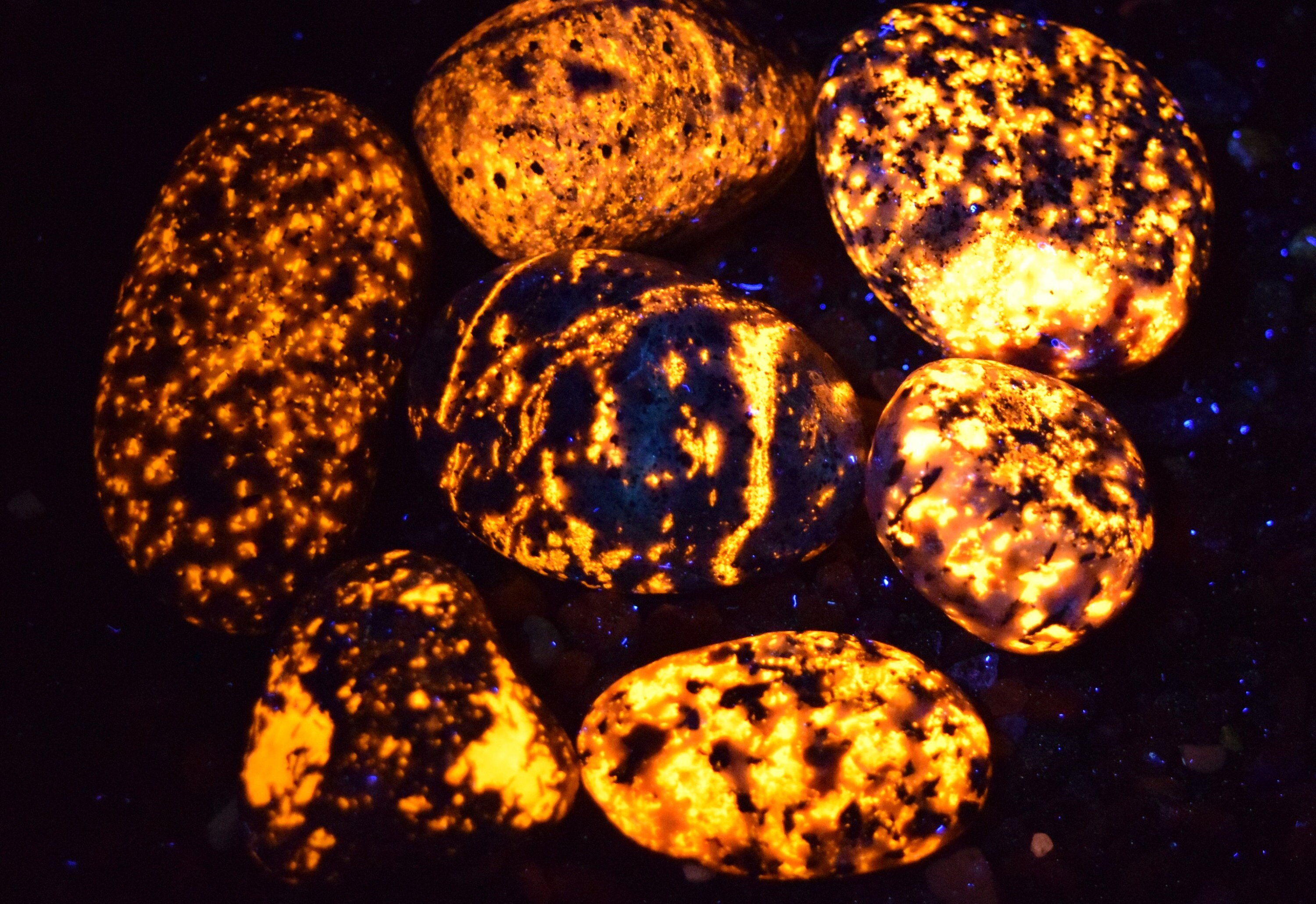 Yooper stones Fluorescent Sodalites 1 lb lot emberlites Lake | Etsy