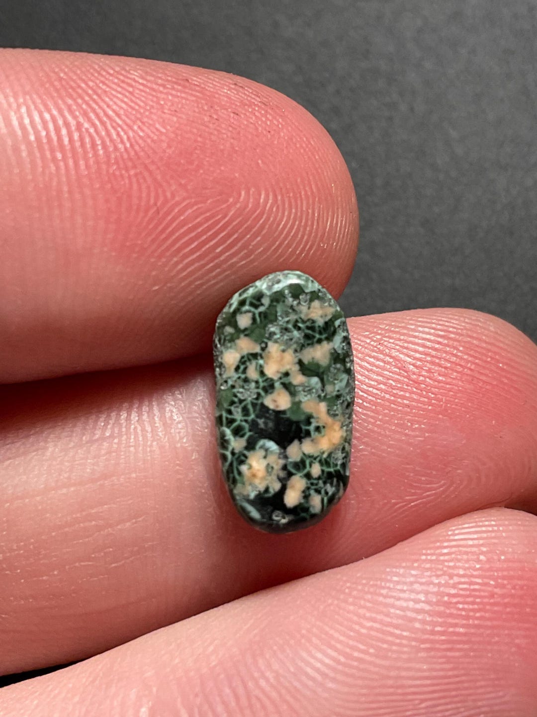 Isle Royale Greenstone Chlorastrolite Gem RARE Color Polished Amazing ...