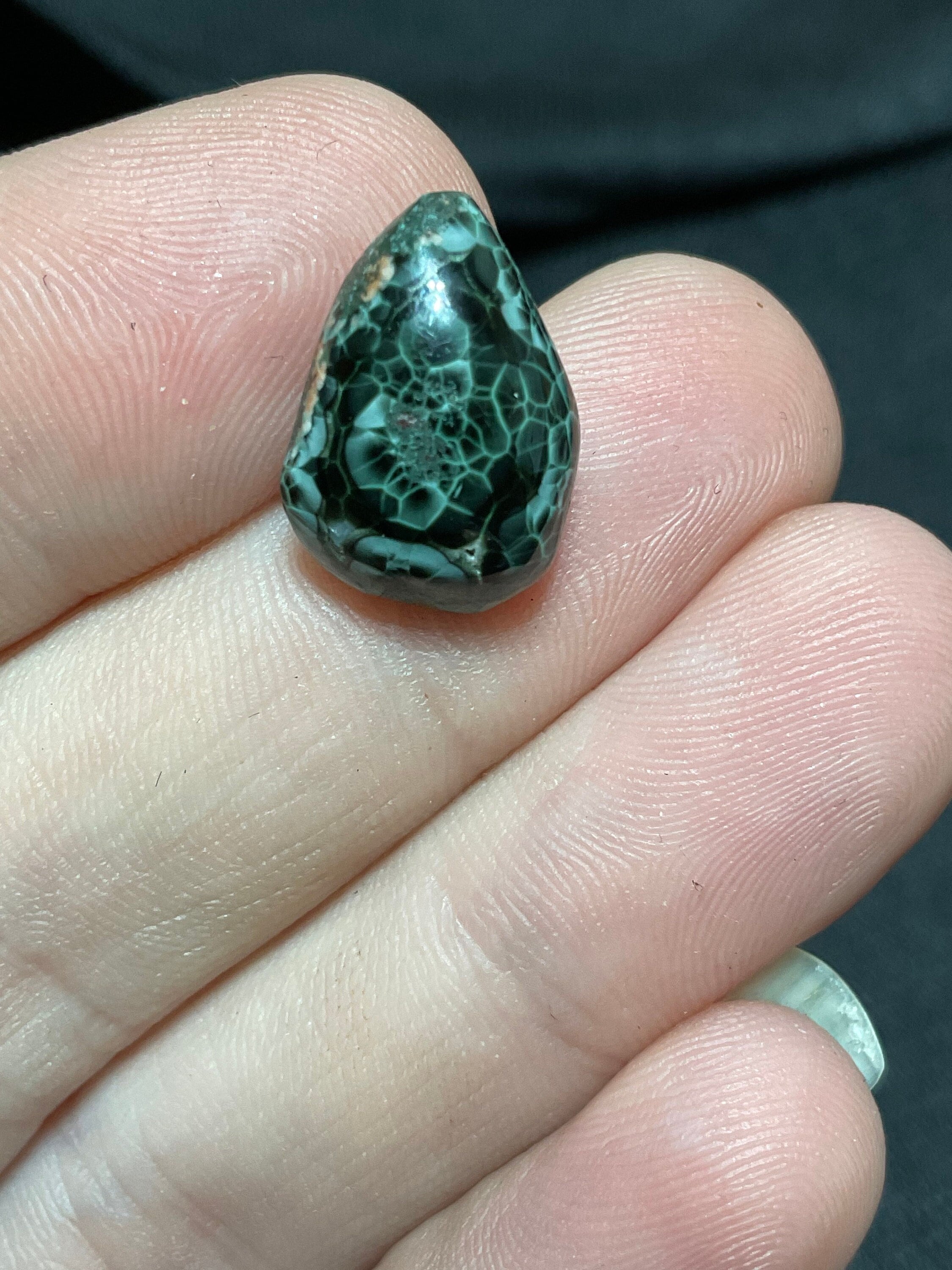 Isle Royale Greenstone Chlorastrolite Gem RARE Color Polished Amazing ...