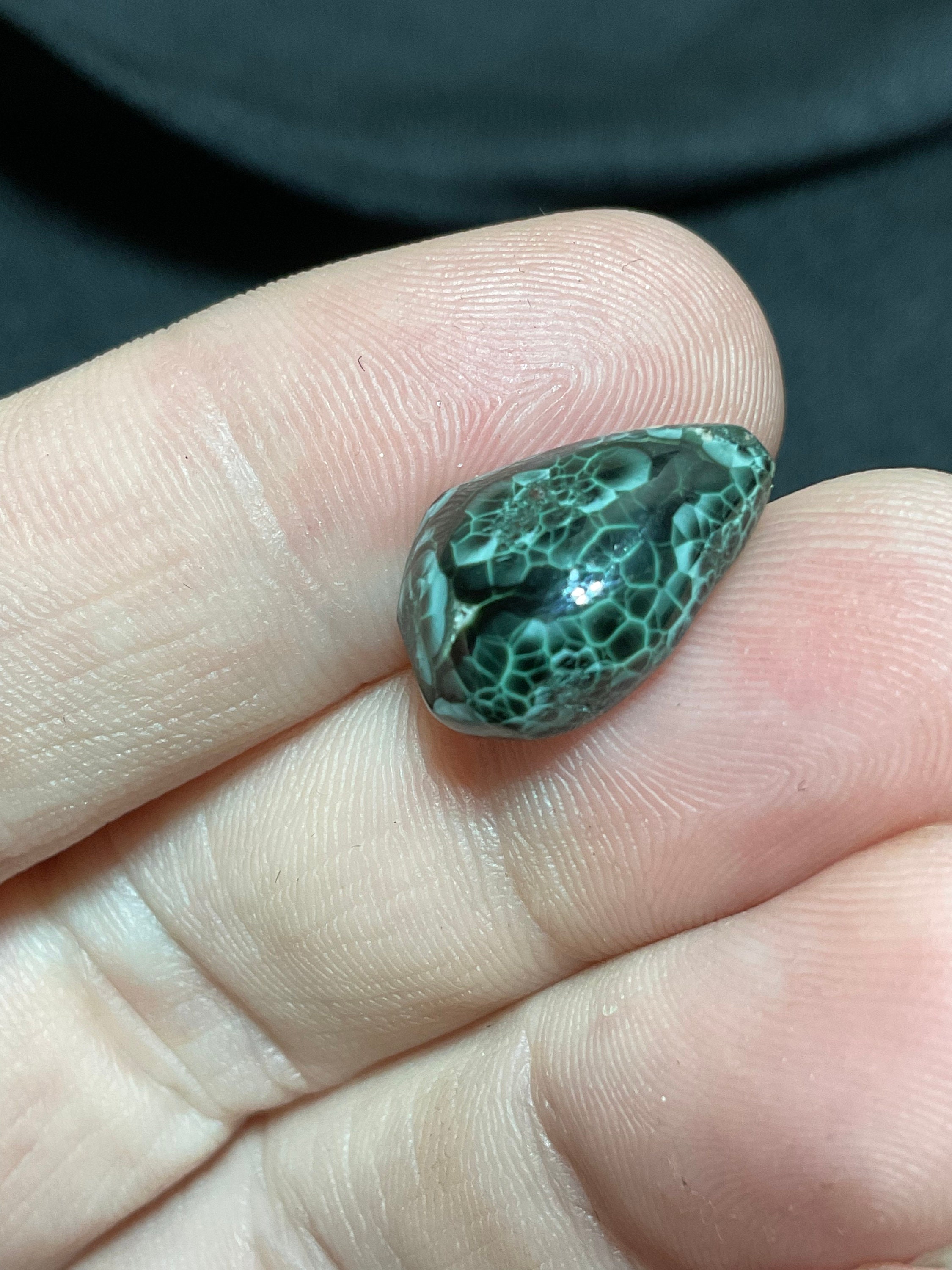 Isle Royale Greenstone Chlorastrolite Gem RARE Color Polished Amazing ...