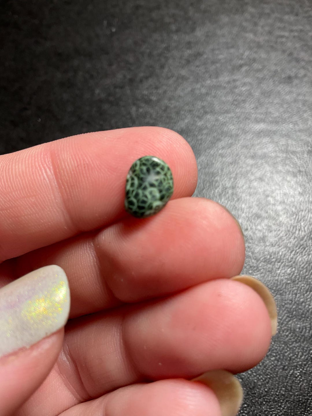 Isle Royale Greenstone Chlorastrolite Gem RARE Color Polished Amazing ...