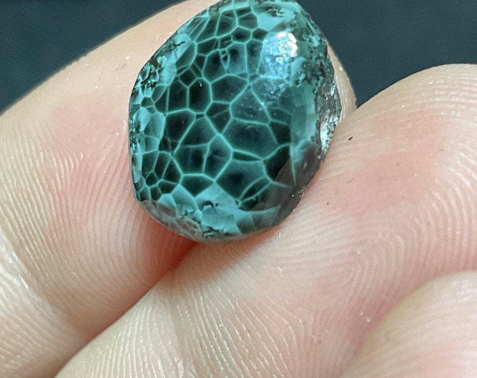 Isle Royale Greenstone Chlorastrolite Gem RARE Color Polished Amazing ...