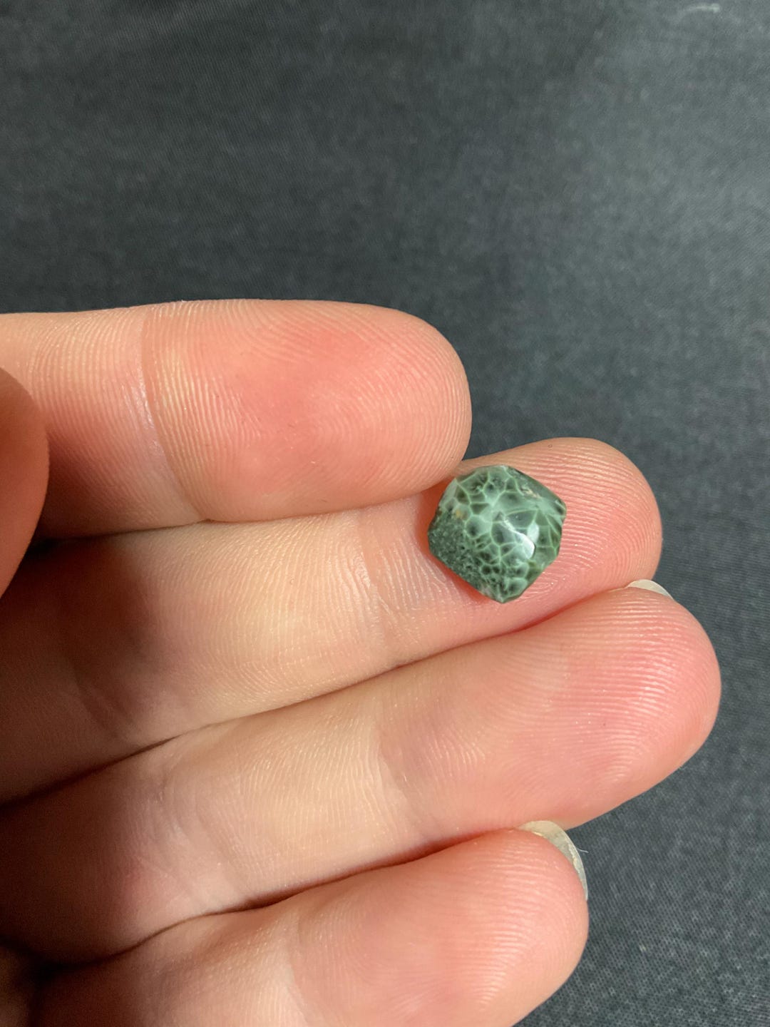 Isle Royale Greenstone, Chlorastrolite, Gem, RARE Color, Polished ...